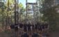 The UNCW Challenge Course - Campus Rec Magazine