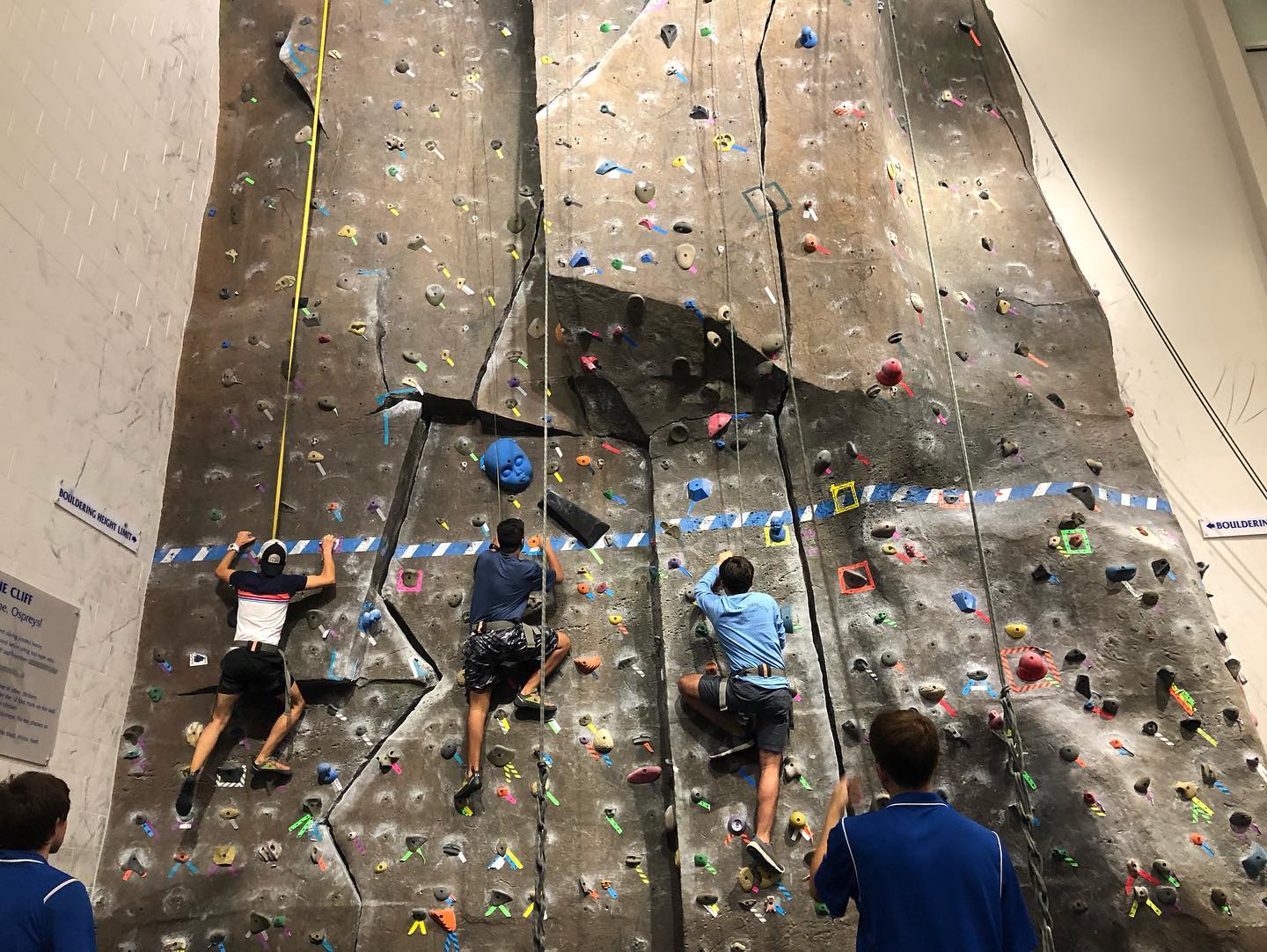 Breaking Barriers with Climbing Wall Programming